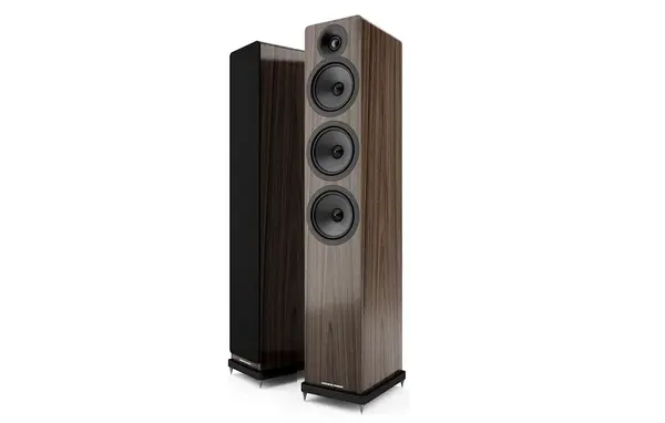 Acoustic Energy AE120 Mk2 Walnut Напольная Акустика цена в Киеве ...
